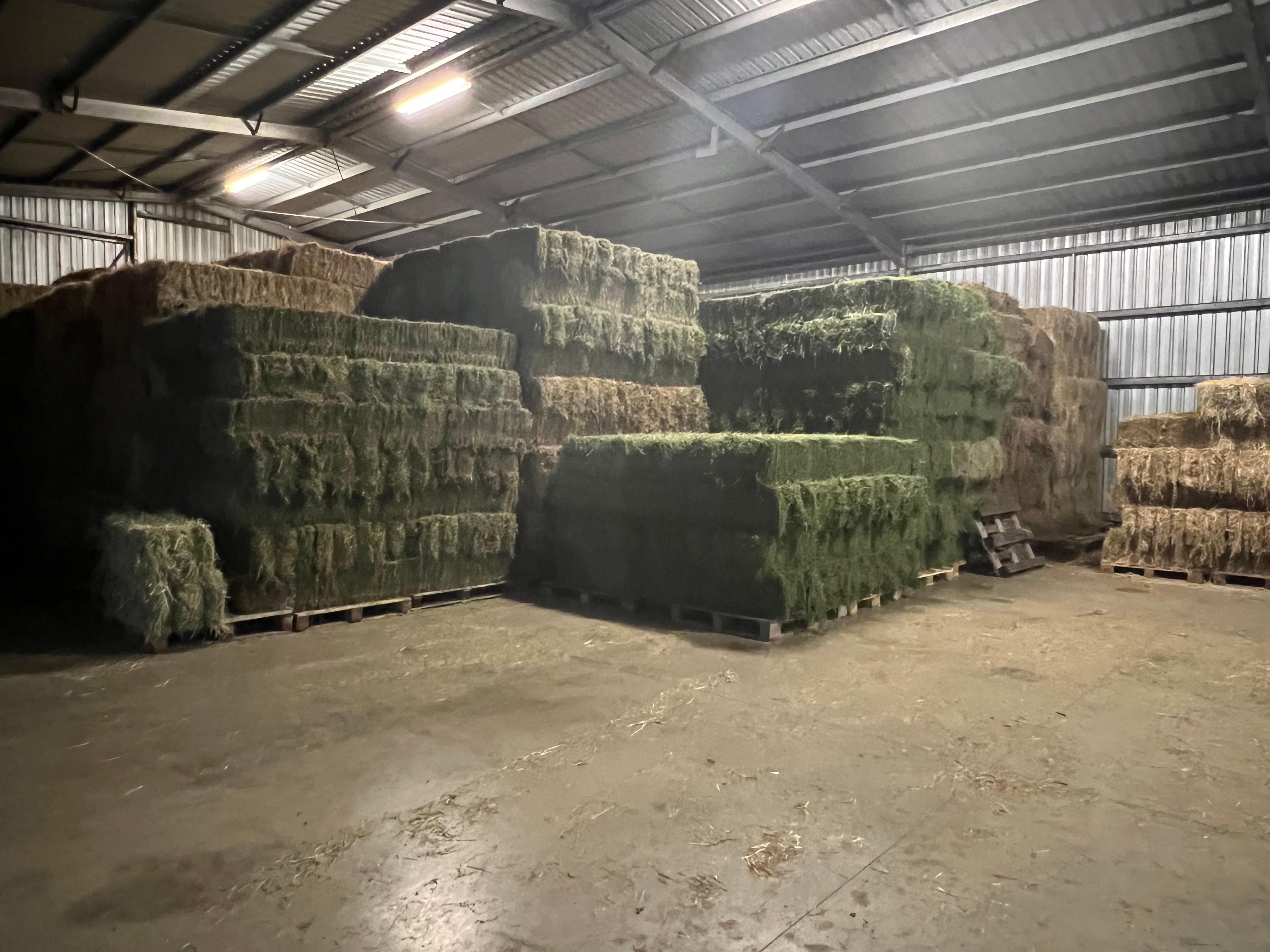 Just Cut - Prime Fine Stemmed Lucerne | Warrill View Stock Feed and Produce